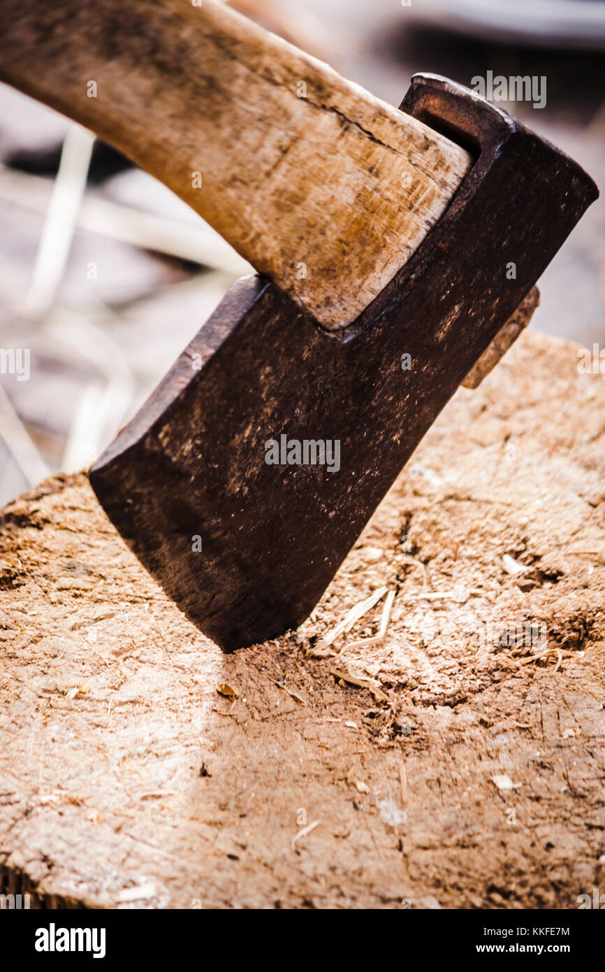 Ax in the wood Stock Photo - Alamy