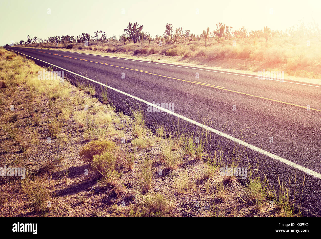 Side view of an empty asphalt road at sunset, color toned picture ...