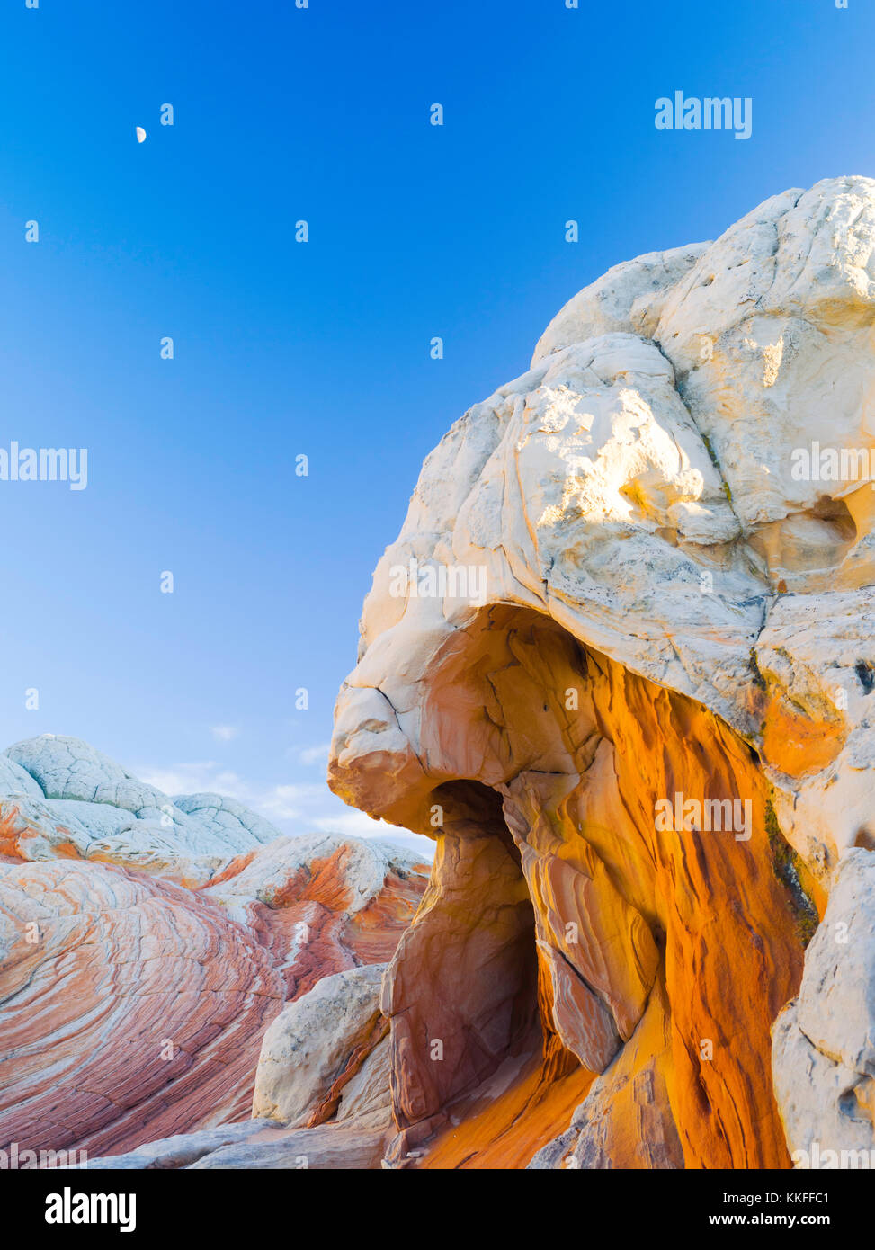 Rock detail at White Pocket, Paria Plateau, Vermilion Cliffs National ...