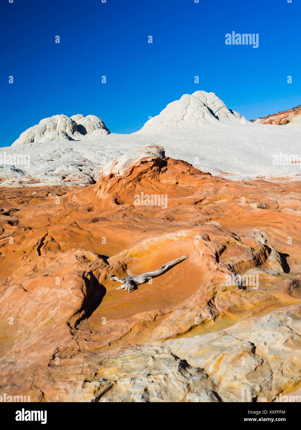 Tim mulholland hi-res stock photography and images - Alamy