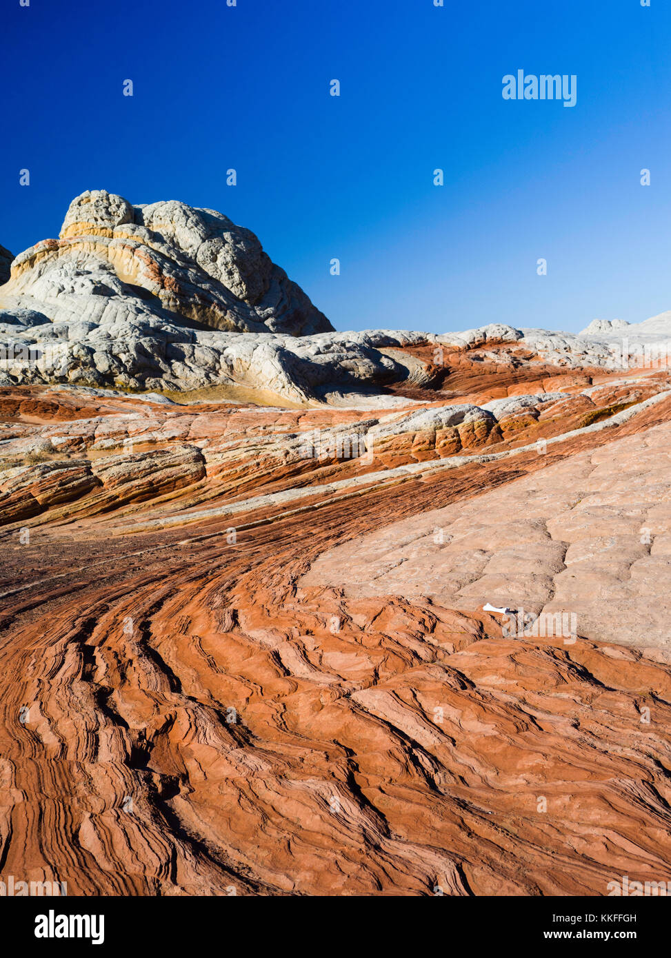 Tim mulholland hi-res stock photography and images - Alamy