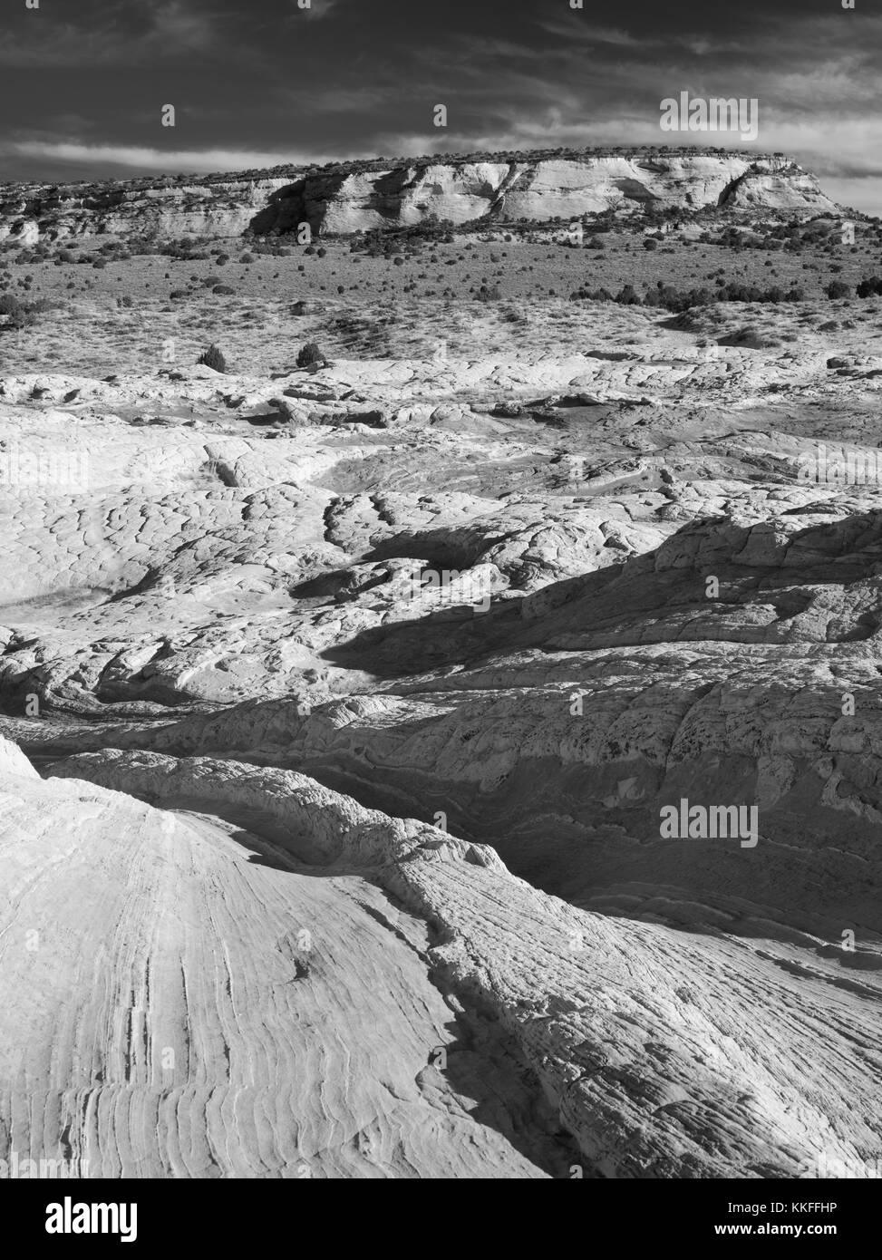 White pocket arizona Black and White Stock Photos & Images - Alamy