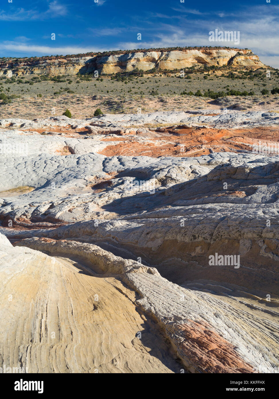 Tim mulholland hi-res stock photography and images - Alamy