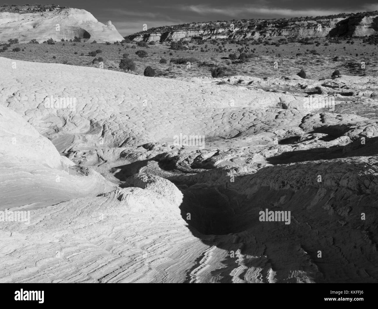 White pocket arizona Black and White Stock Photos & Images - Alamy
