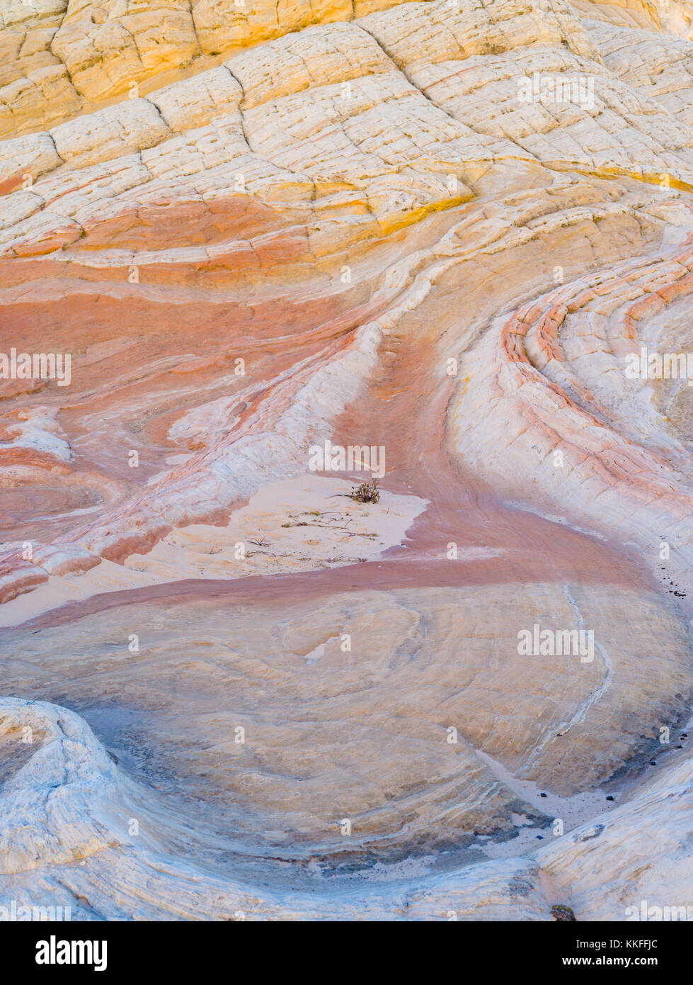 Tim mulholland hi-res stock photography and images - Alamy