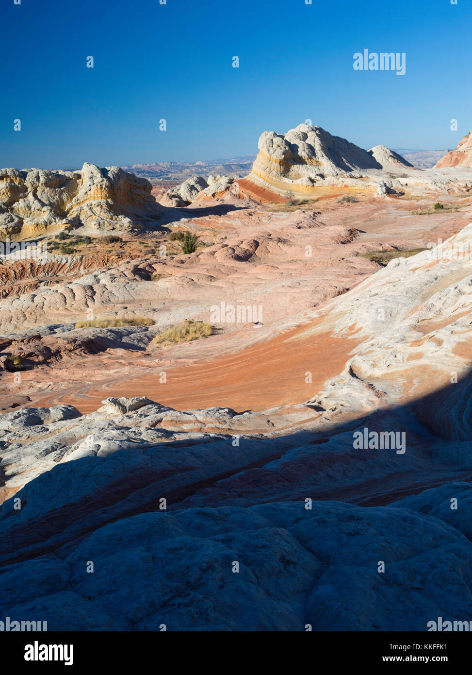 Tim mulholland hi-res stock photography and images - Alamy