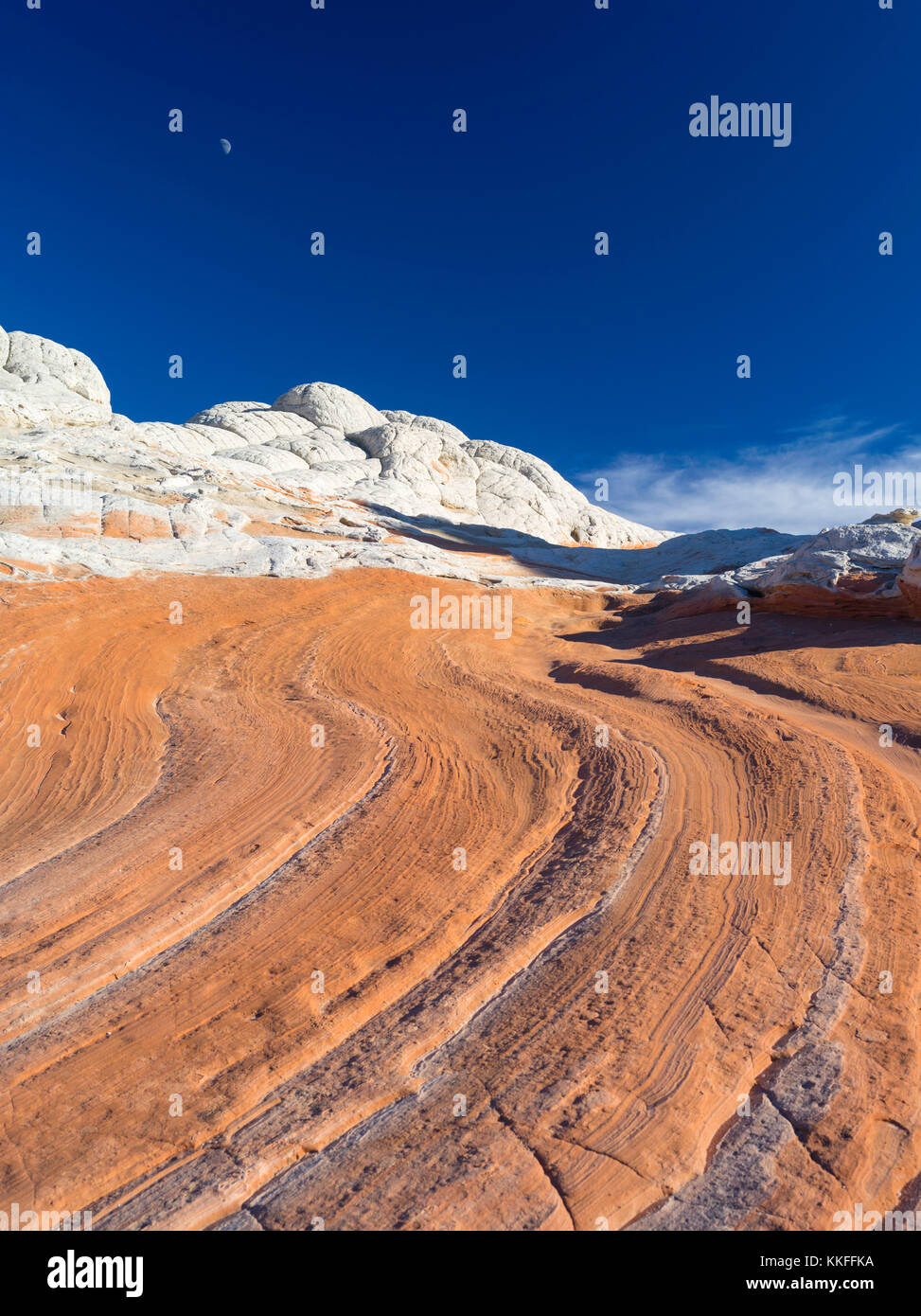 Tim mulholland hi-res stock photography and images - Alamy