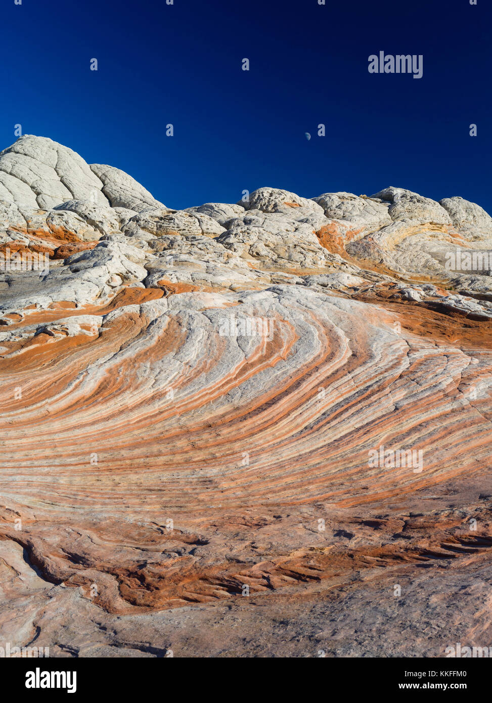 Tim mulholland hi-res stock photography and images - Alamy