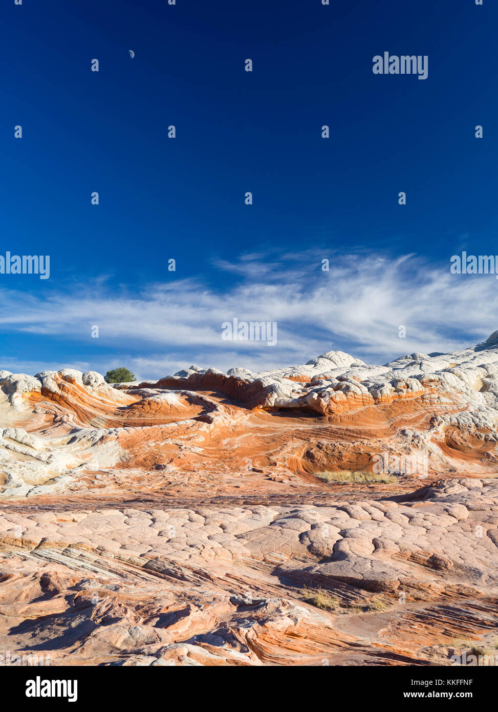 Tim mulholland hi-res stock photography and images - Alamy