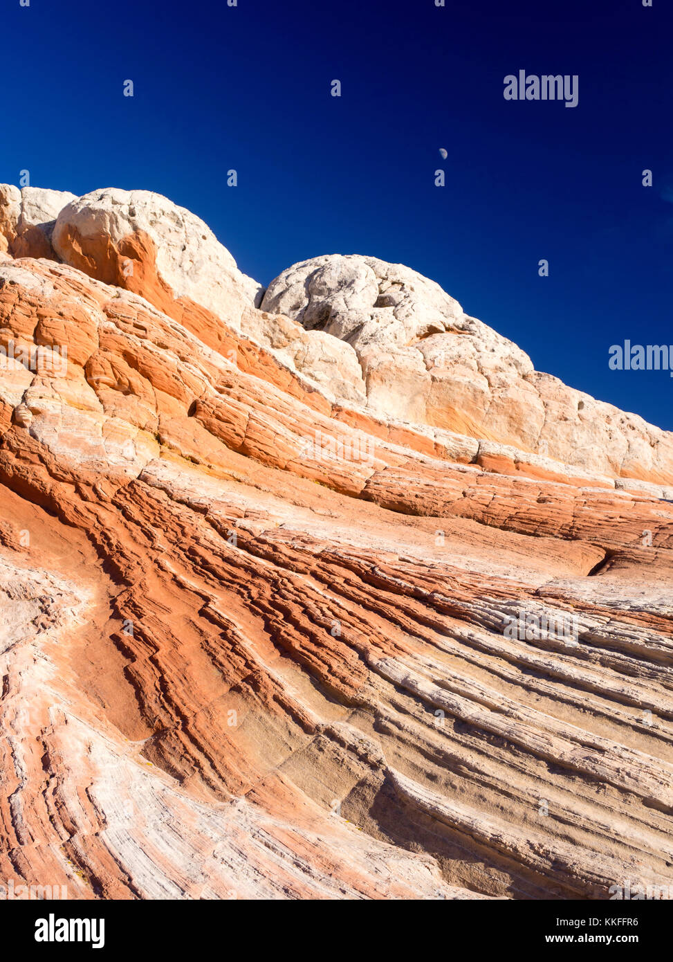 Rock detail at White Pocket, Paria Plateau, Vermilion Cliffs National ...
