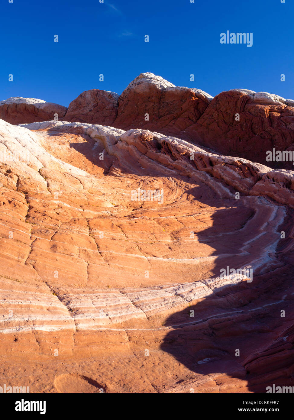 Rock detail at White Pocket, Paria Plateau, Vermilion Cliffs National ...
