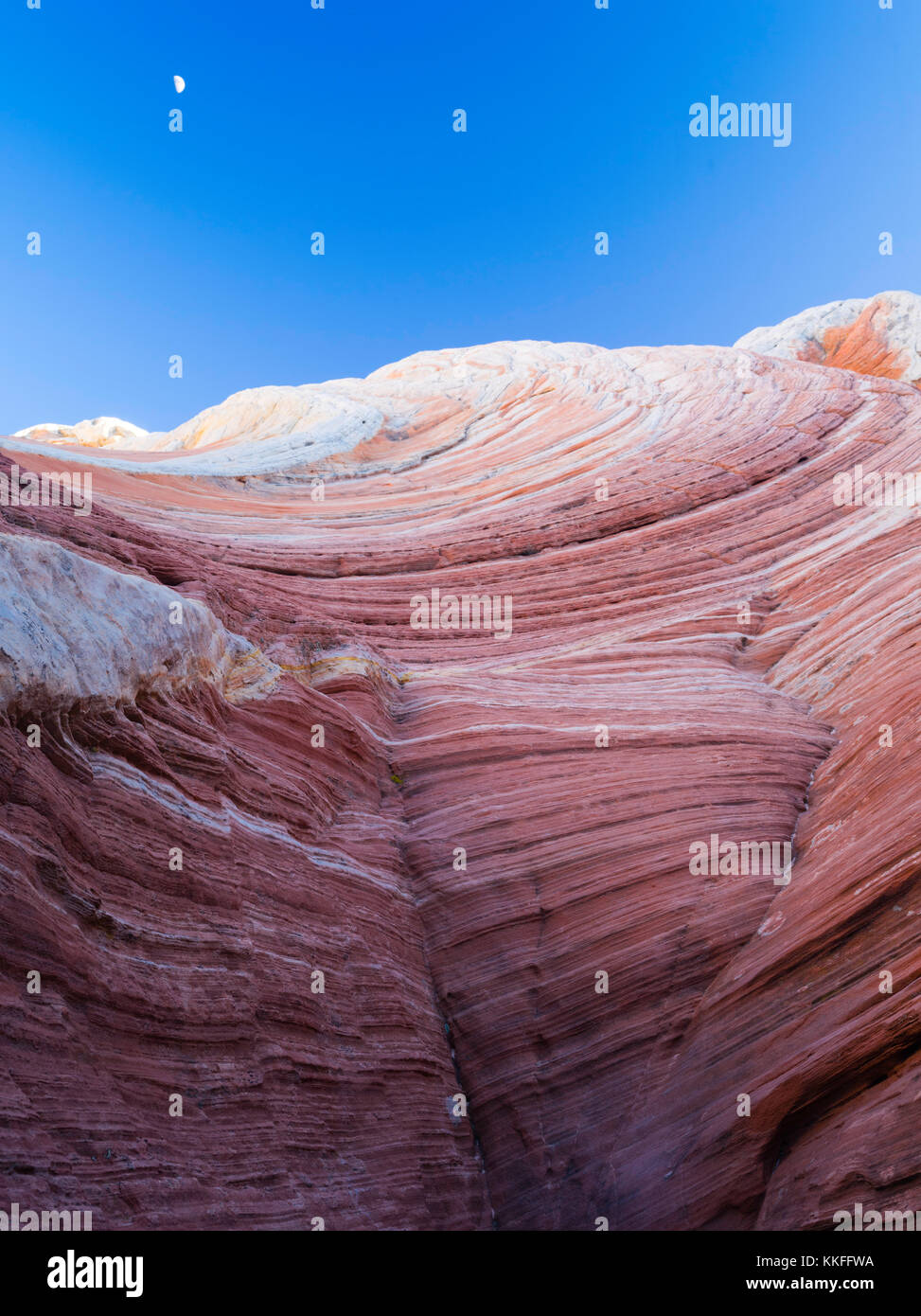 Rock detail at White Pocket, Paria Plateau, Vermilion Cliffs National ...
