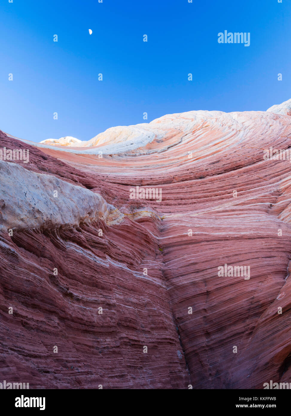 Rock detail at White Pocket, Paria Plateau, Vermilion Cliffs National ...