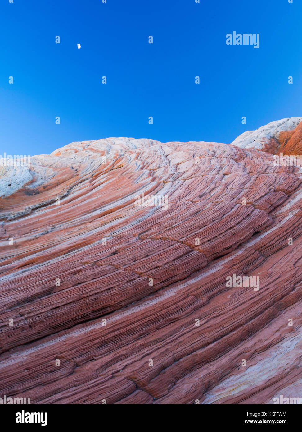 Rock detail at White Pocket, Paria Plateau, Vermilion Cliffs National ...