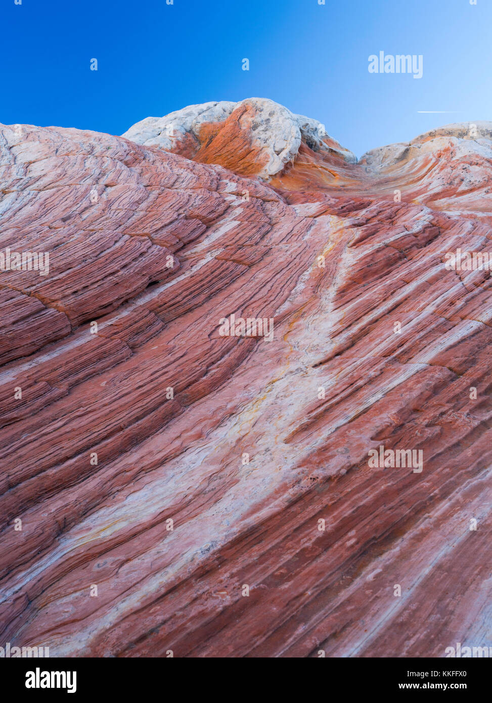 Rock detail at White Pocket, Paria Plateau, Vermilion Cliffs National ...