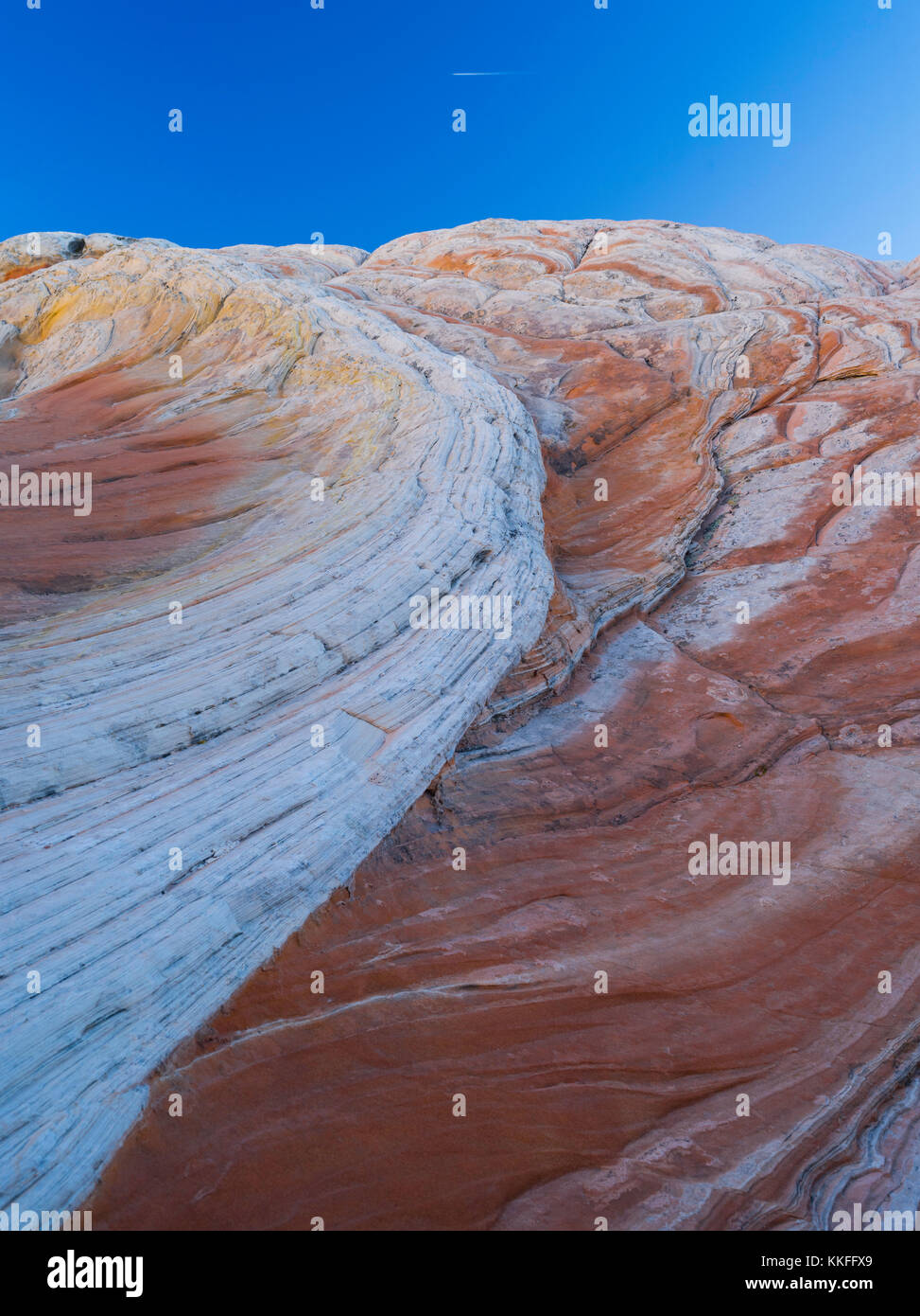 Rock detail at White Pocket, Paria Plateau, Vermilion Cliffs National ...