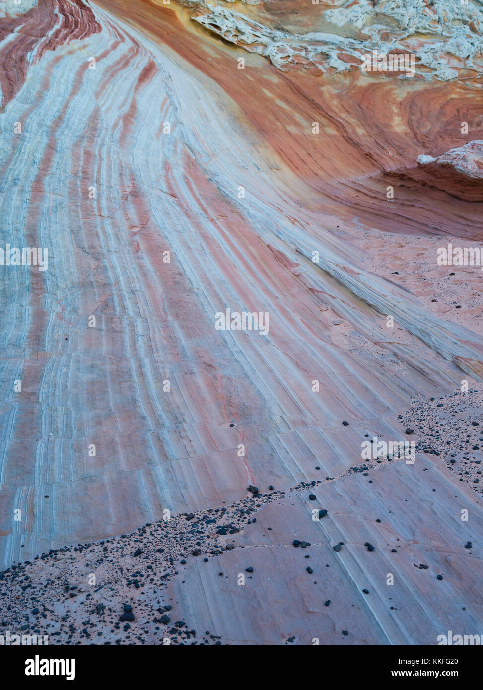 Rock detail at White Pocket, Paria Plateau, Vermilion Cliffs National ...