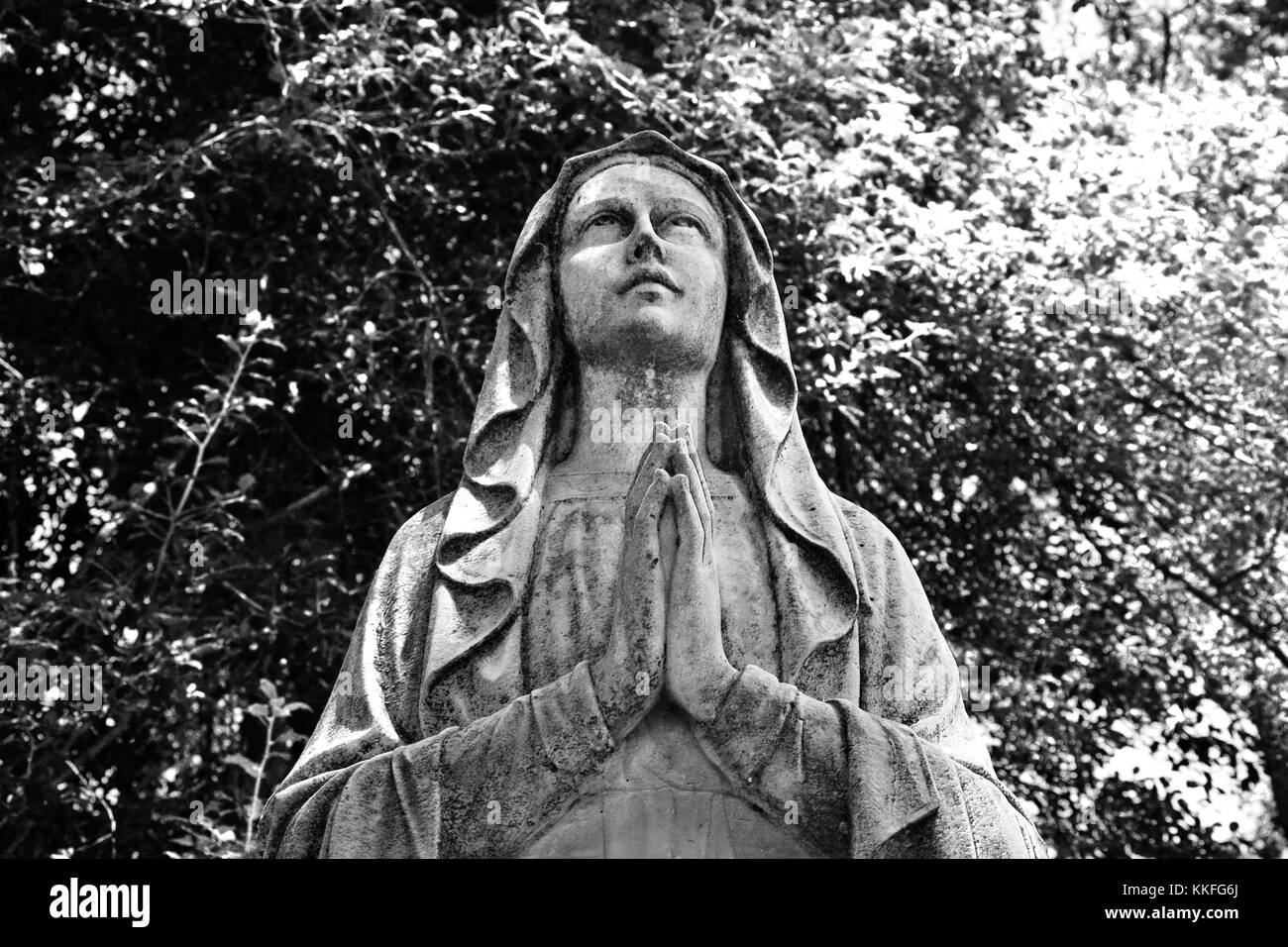 Praying hands of mary hi-res stock photography and images - Alamy