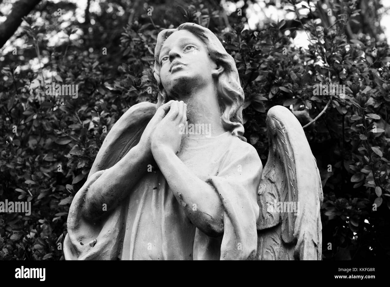 A solemn faced angel offers prayers with eyes and heart lifted ...