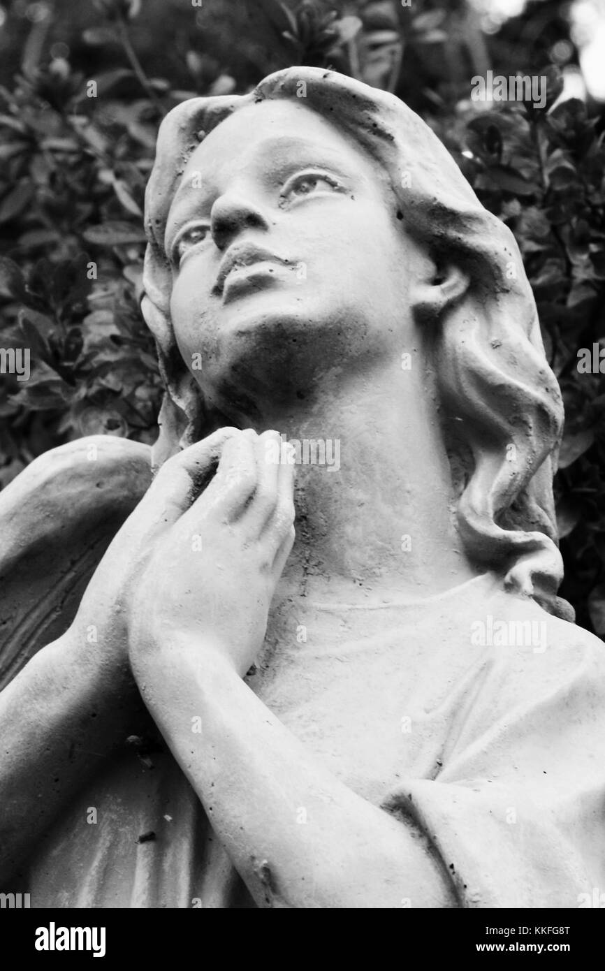 Solemn eyes hi-res stock photography and images - Alamy