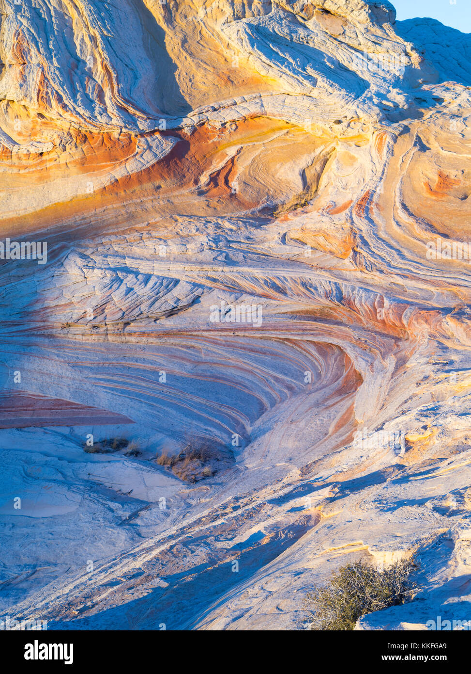 Rock detail at White Pocket, Paria Plateau, Vermilion Cliffs National ...