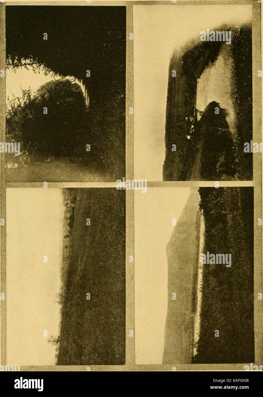 "The Lanthorn 1917" (1916 Stock Photo - Alamy