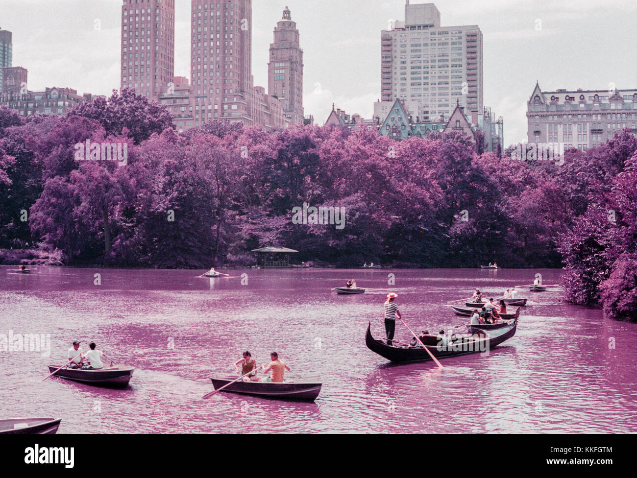 Couples rowing in boats in Central Park Lake, New York City Stock Photo ...