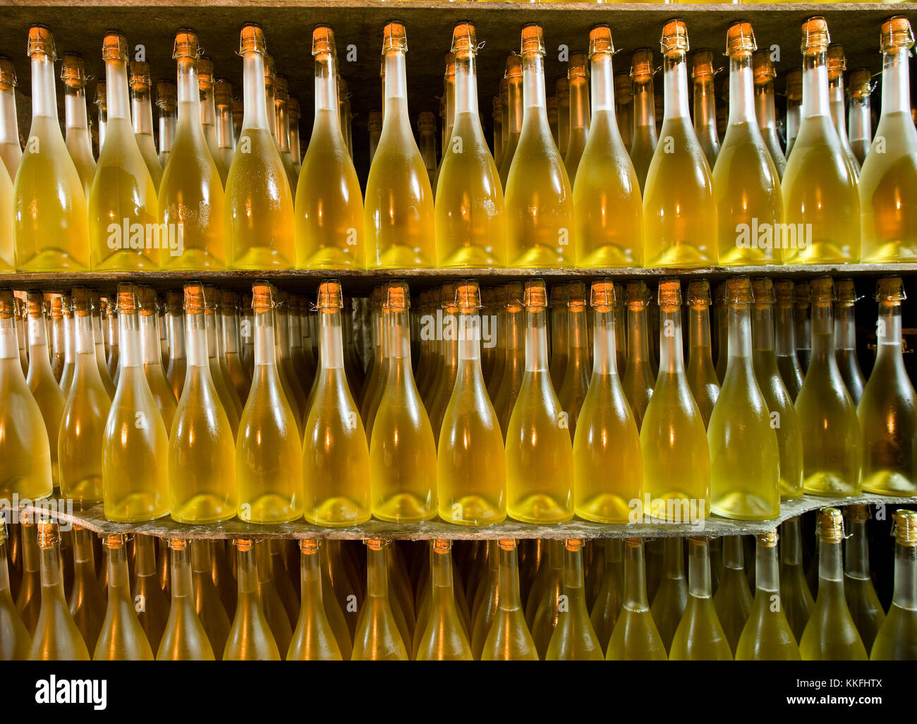 wine cellars. collection wine bottle Stock Photo - Alamy