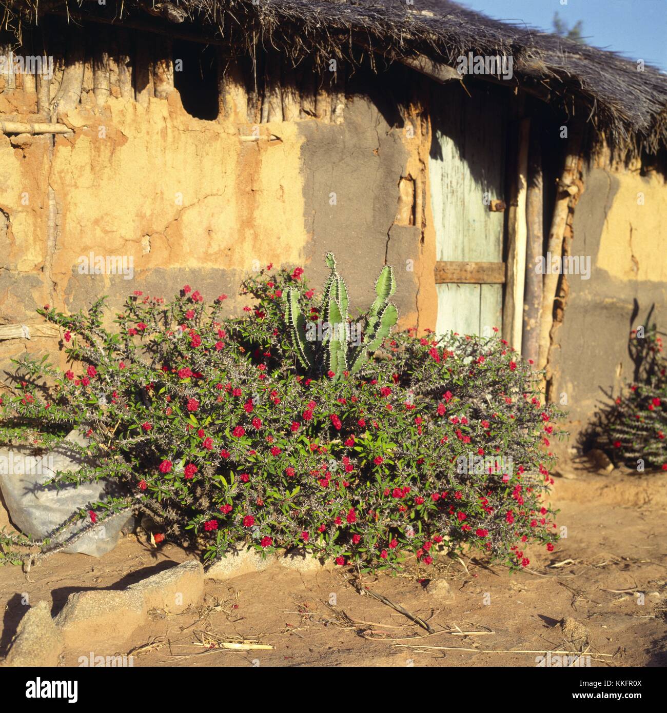 House in village near Gutu, Zimbabwe | usage worldwide Stock Photo - Alamy