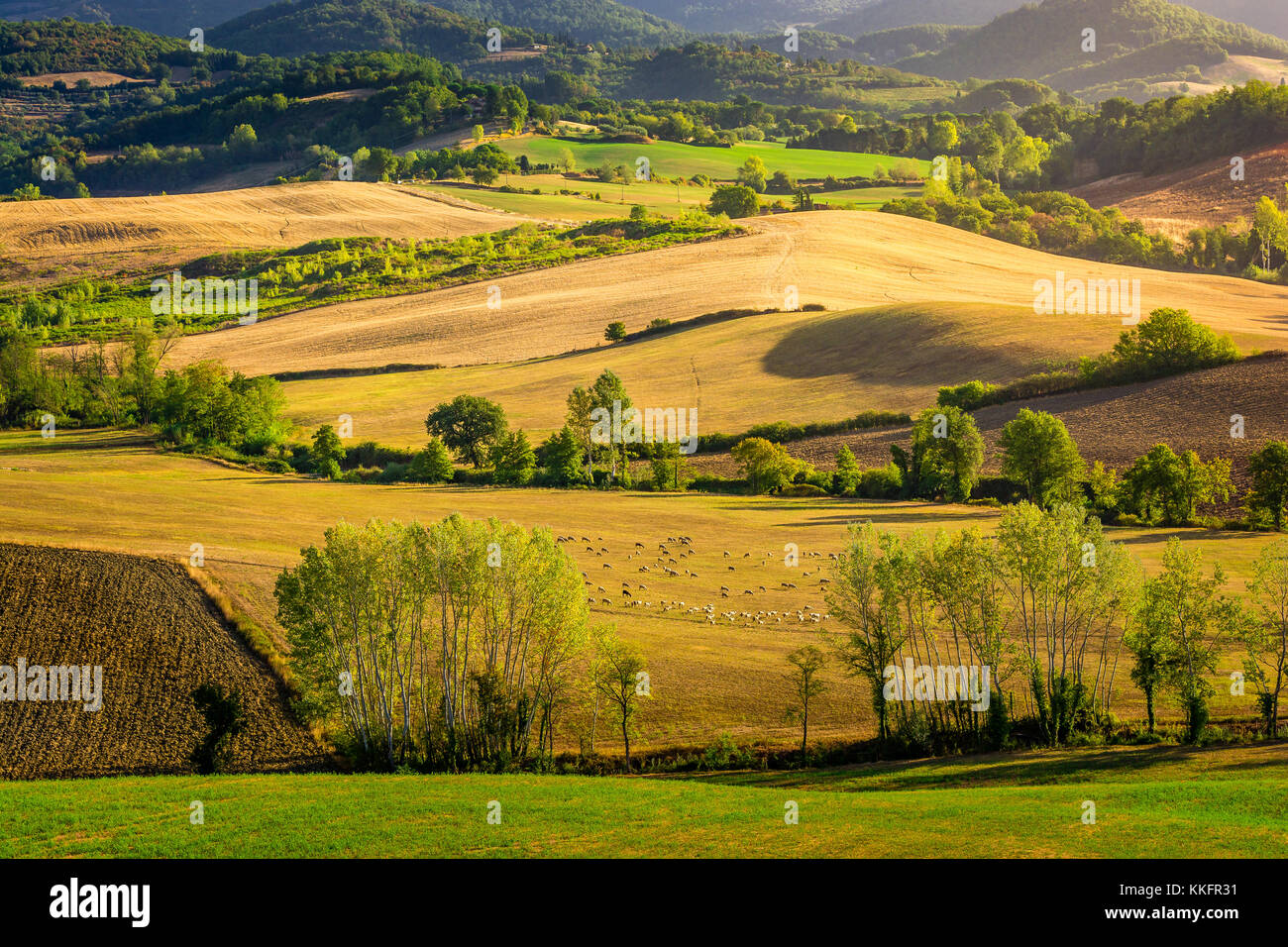 Stunning beautiful landscape view of Tuscany fields at Barberino di ...