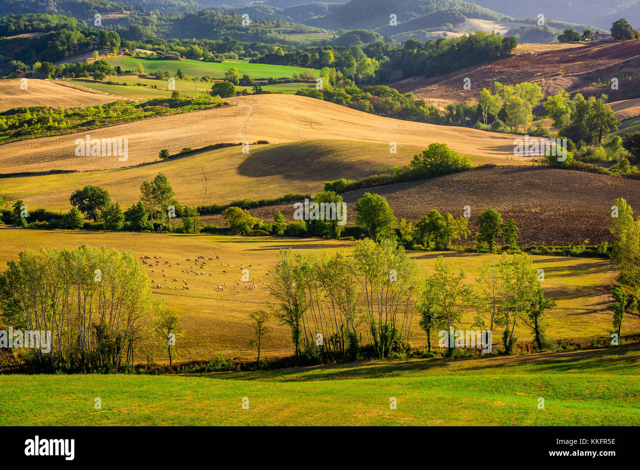Mugello hi-res stock photography and images - Alamy
