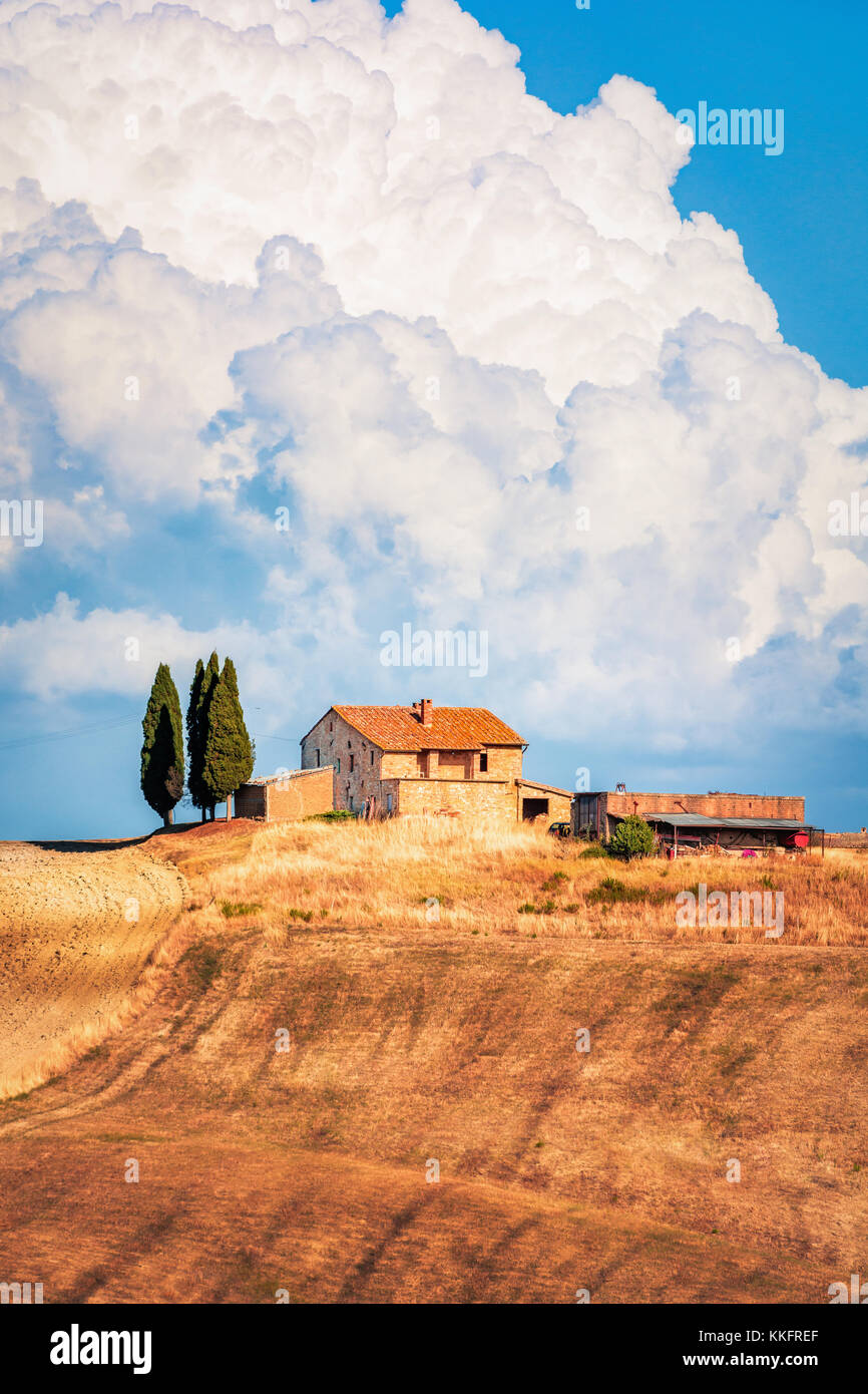 Beautiful rural landscape in Tuscany Italy with hills and meadow Stock ...