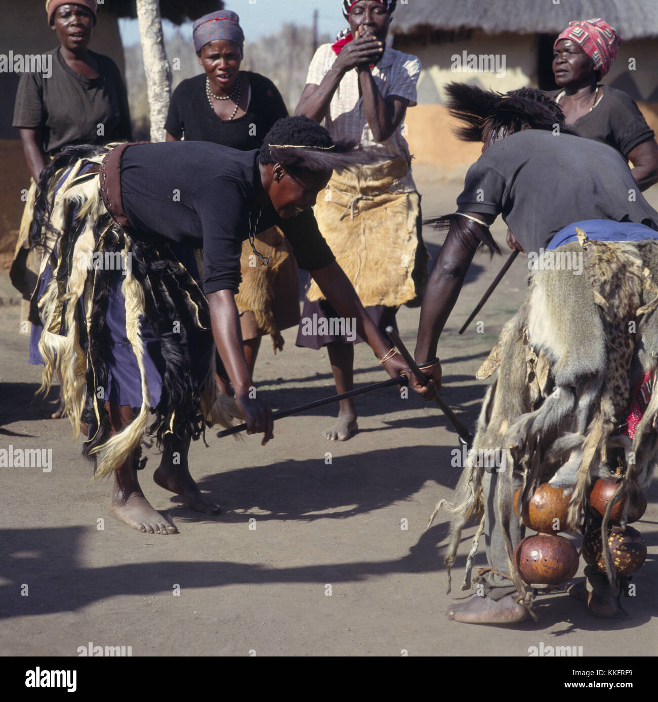Dancer of a folk group, Greater Zimbabwe, Zimbabwe | usage worldwide ...