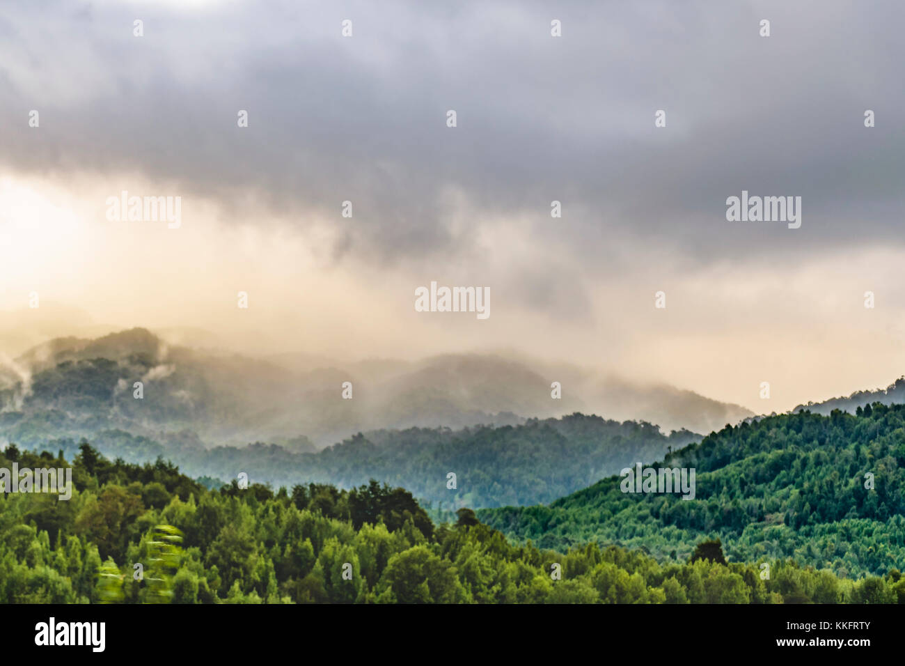 Andean forest landscape at Puyuhuapi town, Chile Stock Photo - Alamy