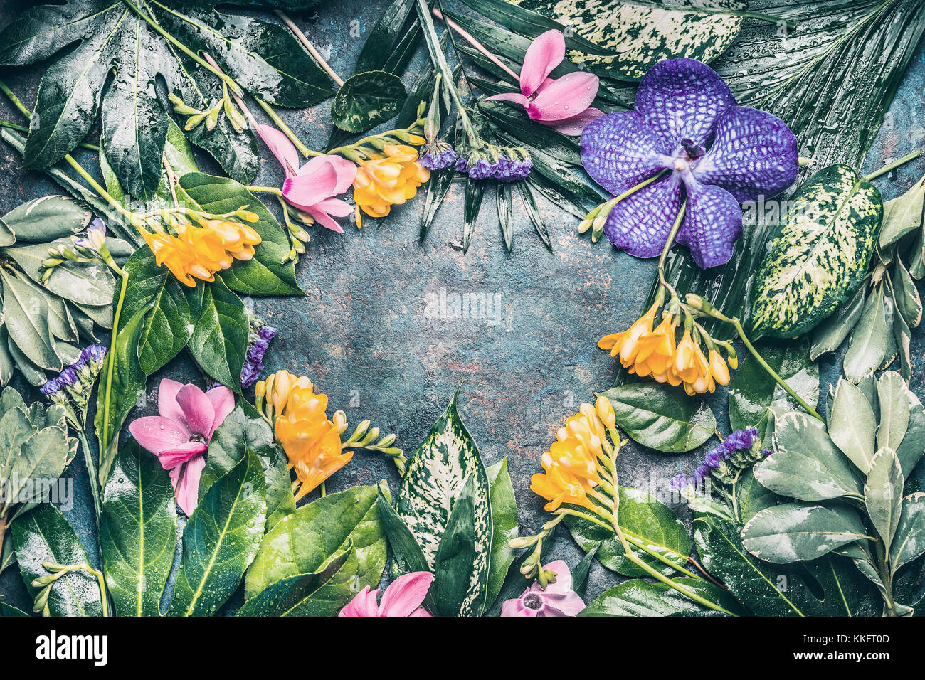 Nature background with various tropical plants, leaves and flowers ...