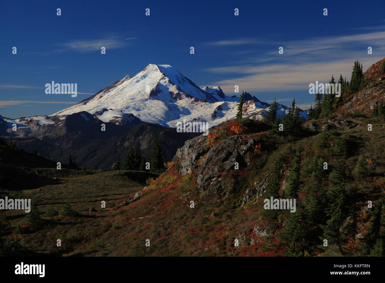 Mt Baker from Yellow Aster Butte Stock Photo - Alamy