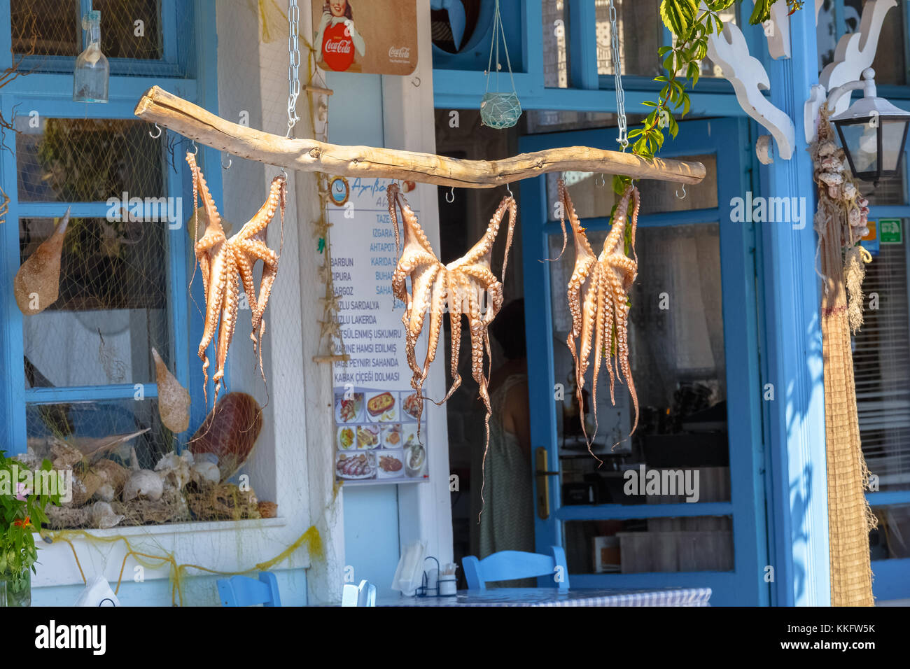 Octopuses hanged to dry, a famous Greek delicacy accompanied with ouzo ...