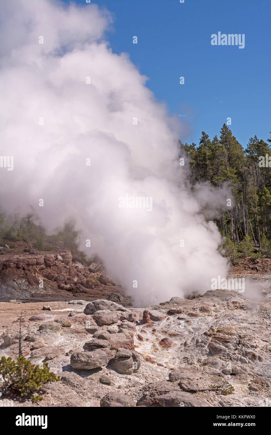 Steam from Steamboat Geyser in the Norris Geyser Basin Stock Photo - Alamy