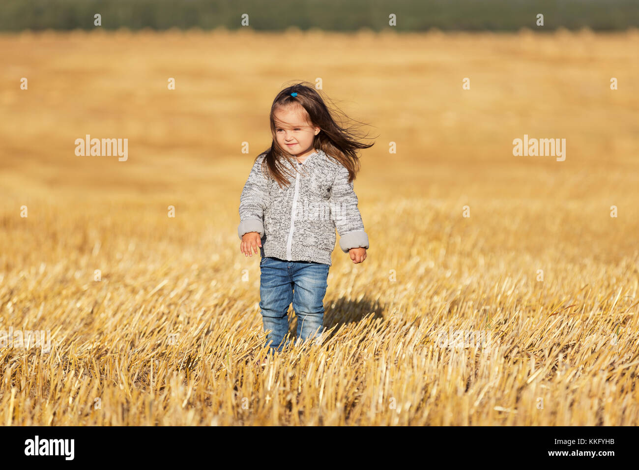 Happy 2 year old girl walking in a summer harvested field Stock Photo ...