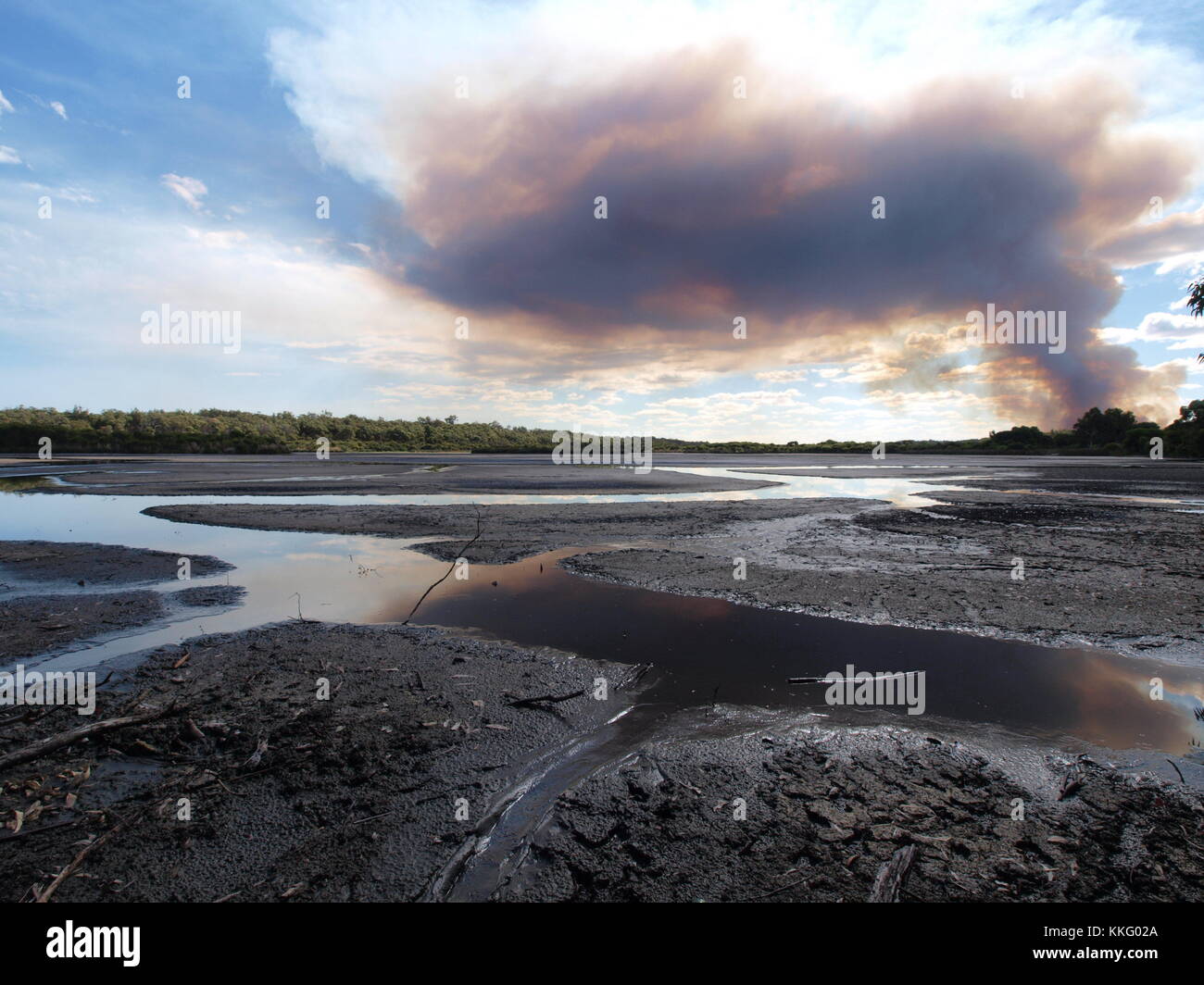 Yanchep national park hi-res stock photography and images - Alamy