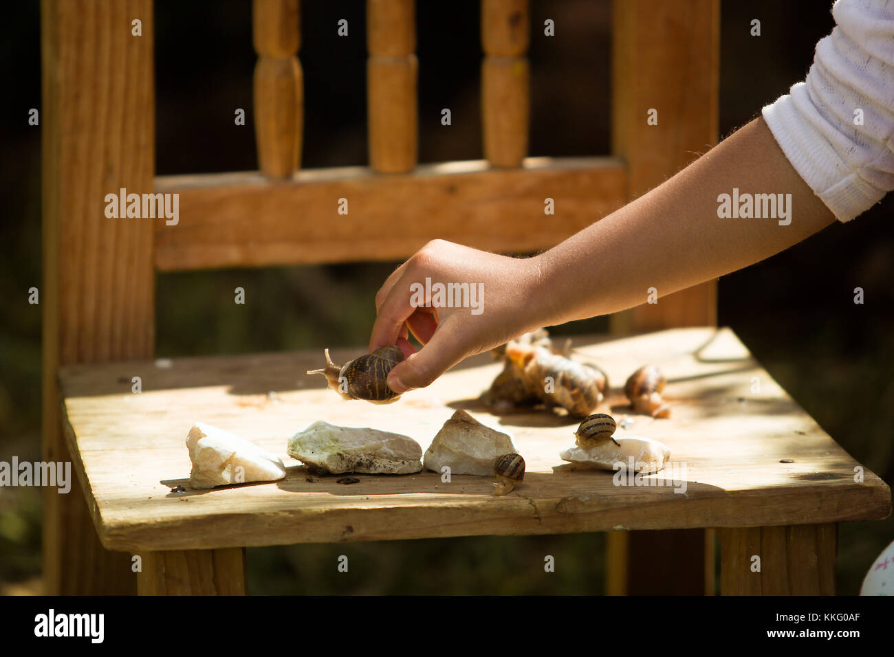 A small girl playing with snails on a wood chair Stock Photo - Alamy