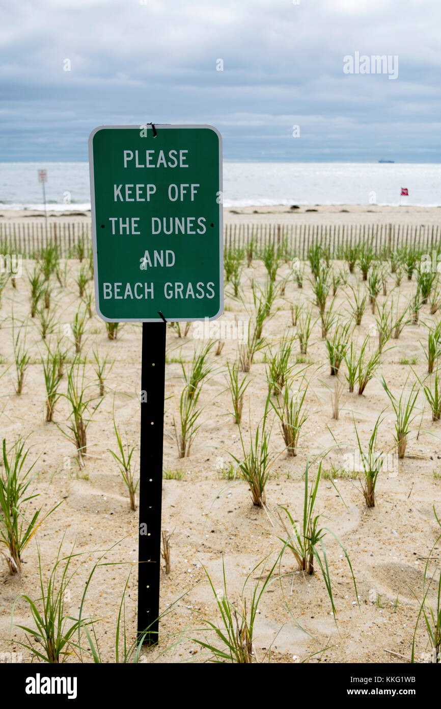 Beach restoration hi-res stock photography and images - Alamy