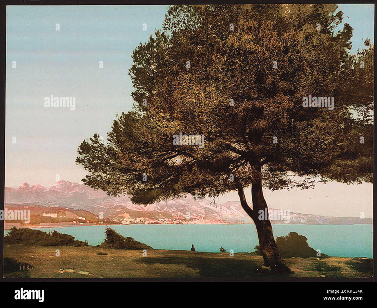 A vintage natural landscape with trees Stock Photo - Alamy