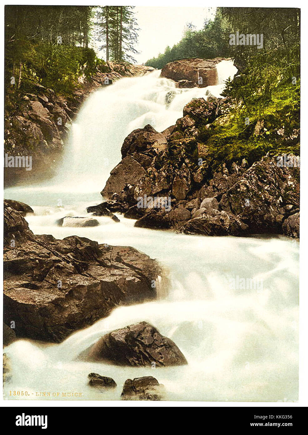 A vintage natural landscape with trees Stock Photo - Alamy