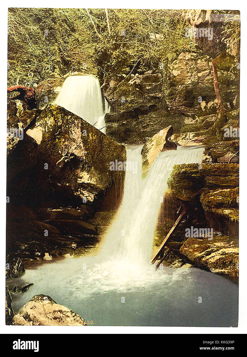 A vintage natural landscape with trees Stock Photo - Alamy