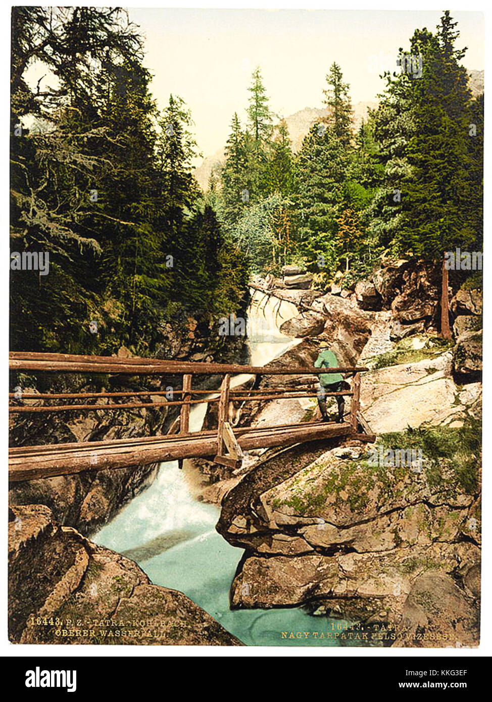 A vintage natural landscape with trees Stock Photo - Alamy