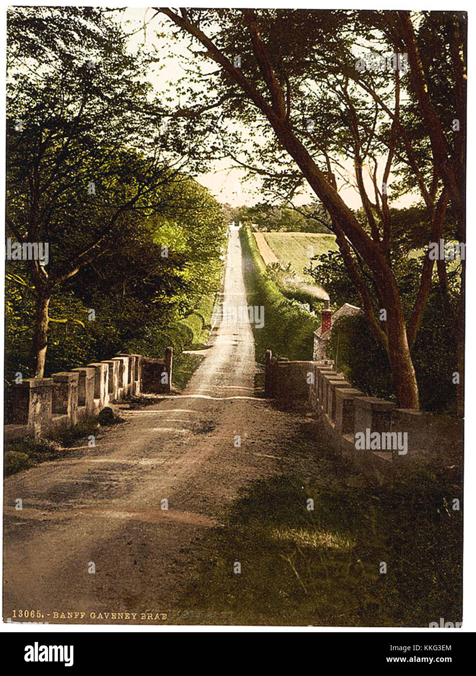A vintage natural landscape with trees Stock Photo - Alamy