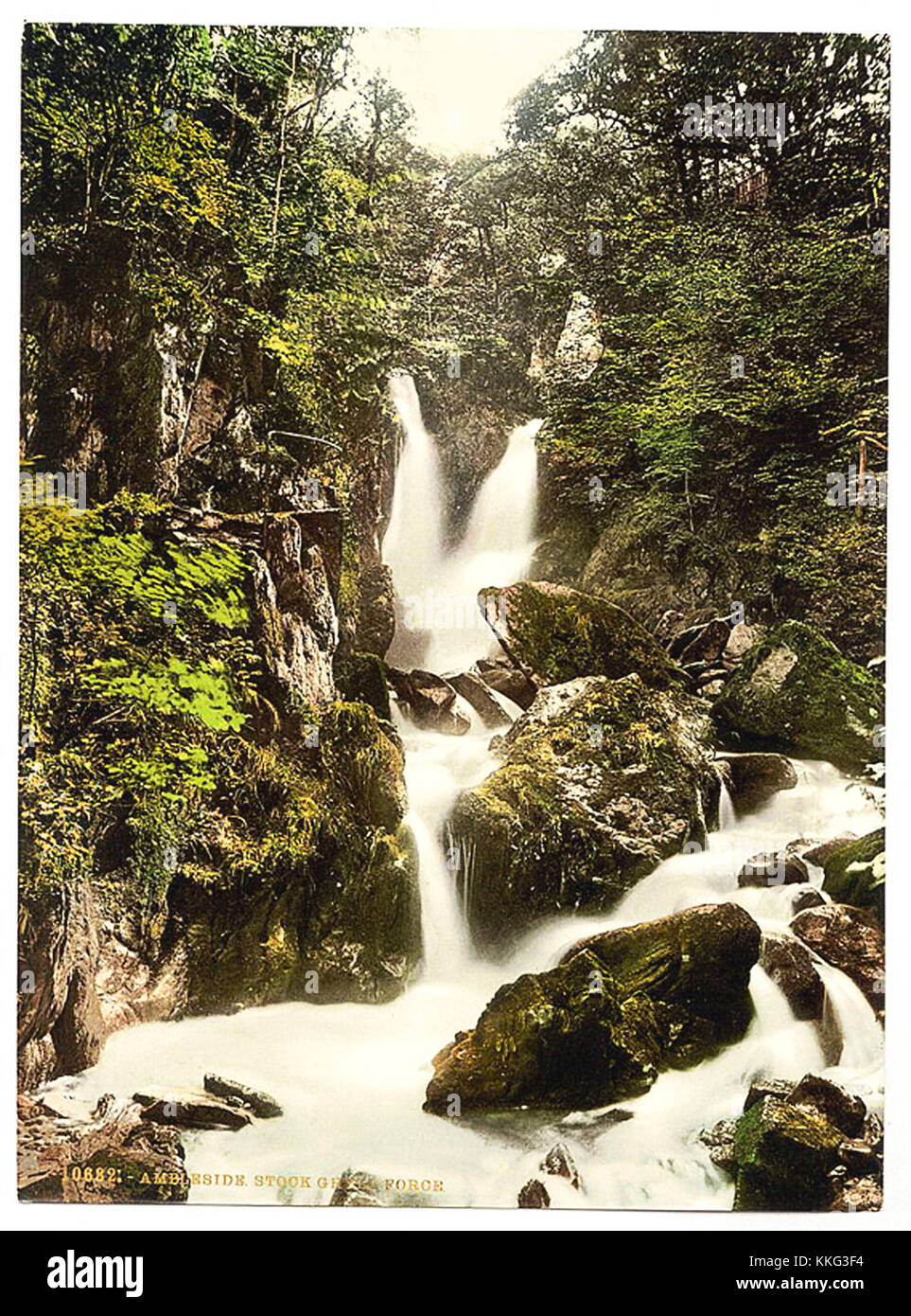 A vintage natural landscape with trees Stock Photo - Alamy