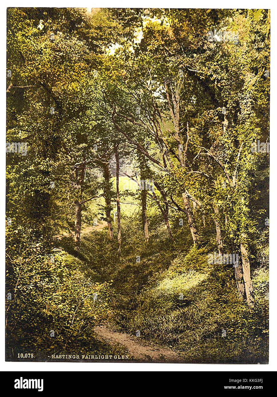 A vintage natural landscape with trees Stock Photo - Alamy