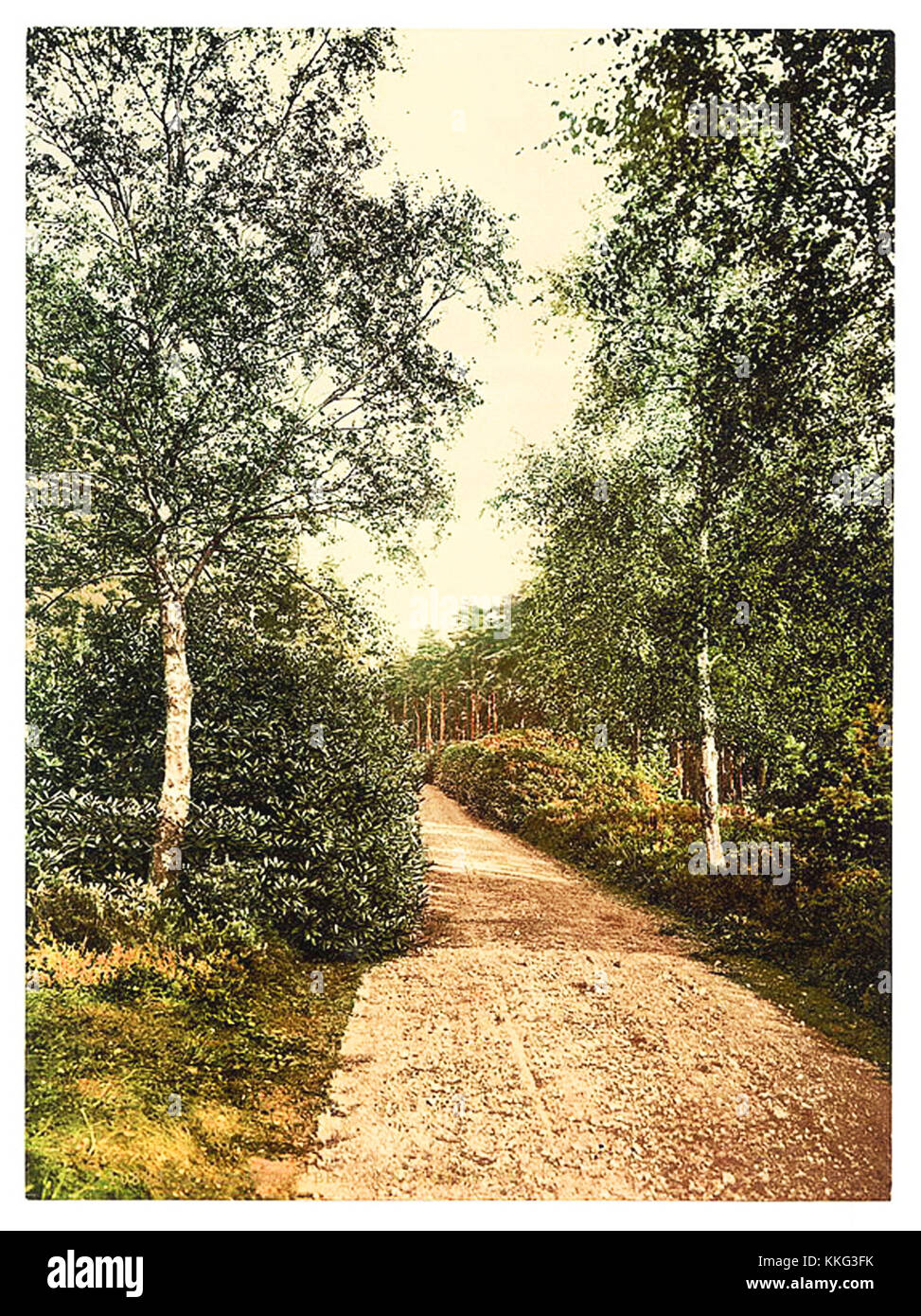 A vintage natural landscape with trees Stock Photo - Alamy